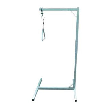 Patient Lift Pole - ELAN Medical Supplies Qld Australia